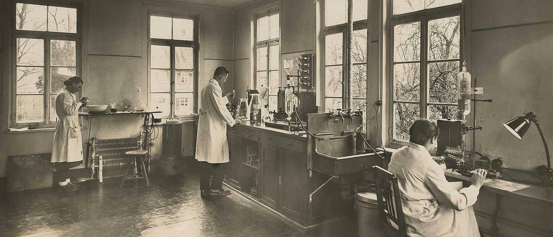 Weleda's Heritage | Weleda