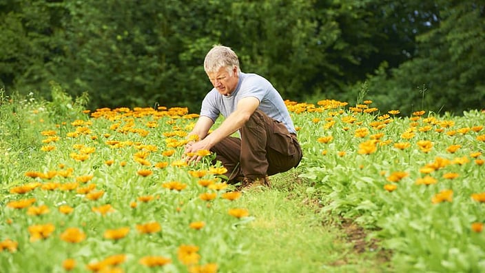 Weleda Gardens | Weleda