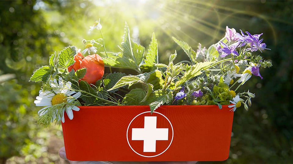 How to Use Baby Teething Powder | Natural Relief | Weleda