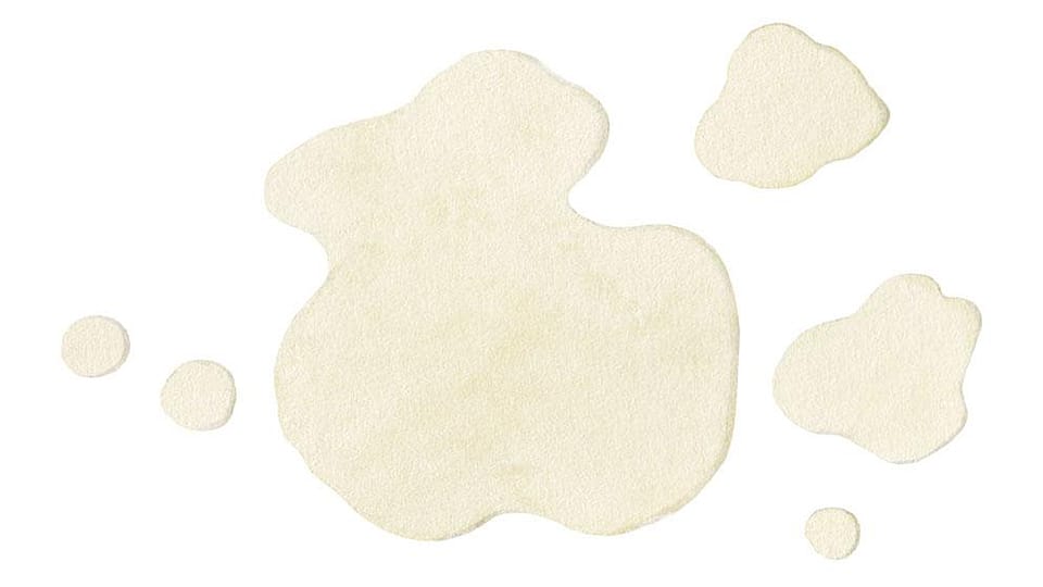 Polyglyceryl-3 Polyricinoleate | Weleda