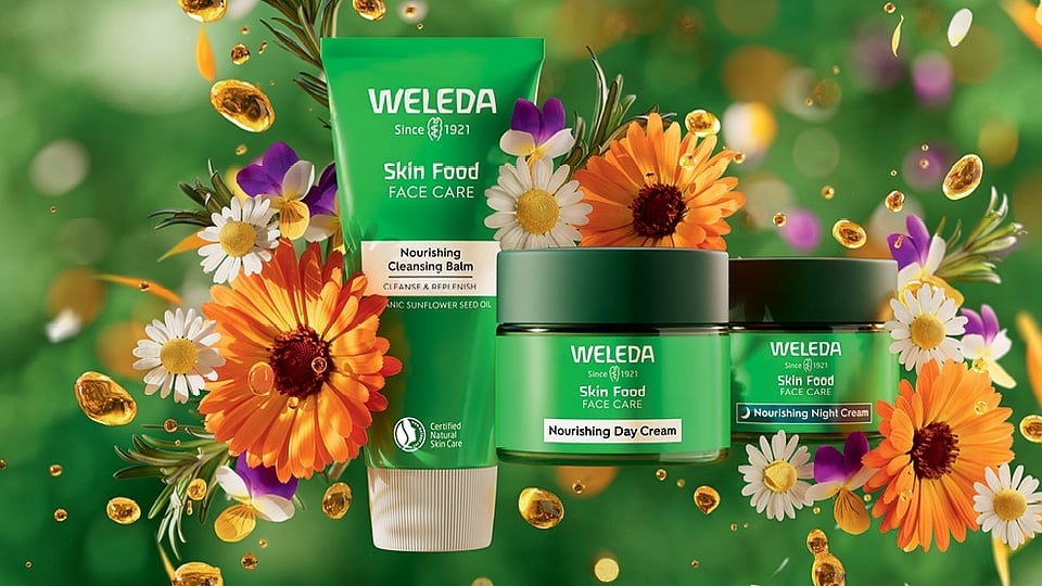 How the scent of trees can connect us with nature - Weleda