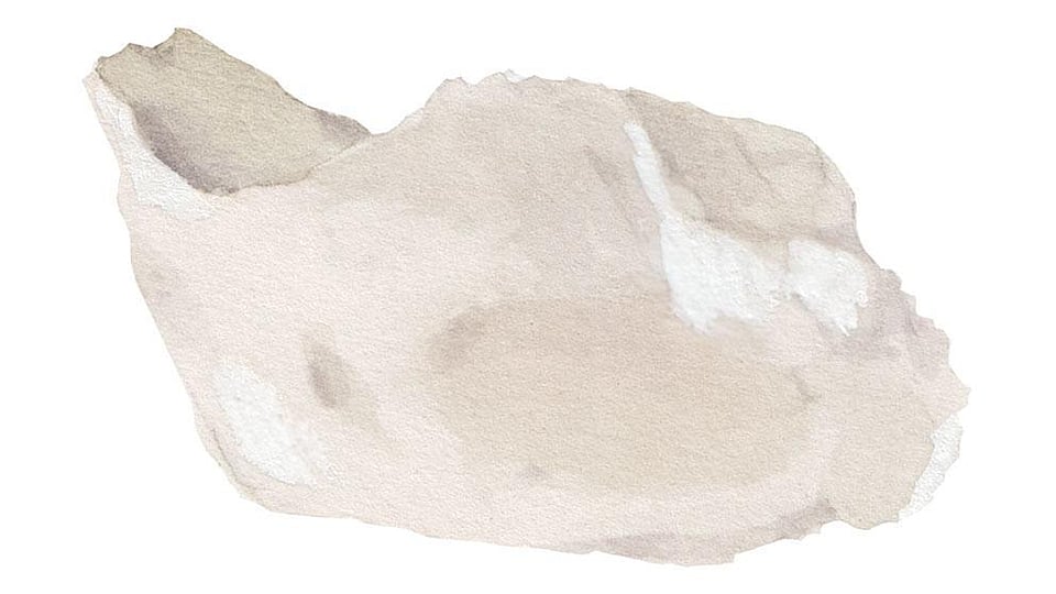 Skin Food Nourishing Day Cream for moisture and lum - Weleda