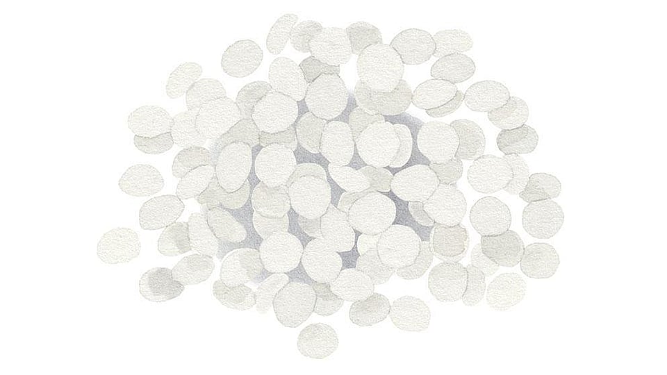 Hydrogenated Coco-Glycerides - Weleda