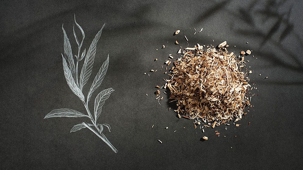 Healing Plants Guide | Natural Medicine - Weleda